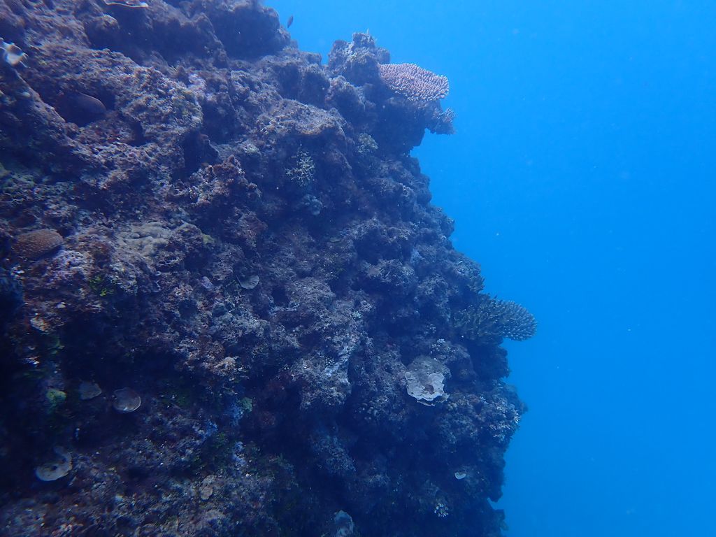 Reef Monitoring